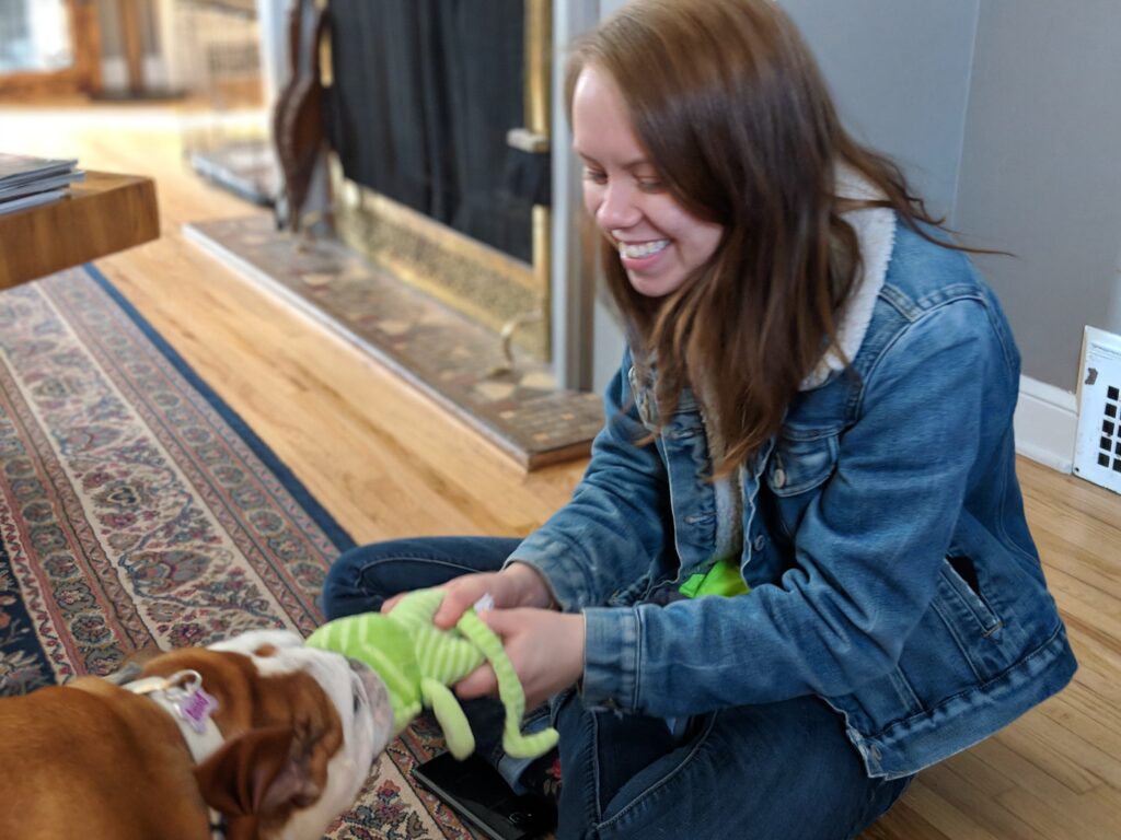 Our Professional Dog Trainers
