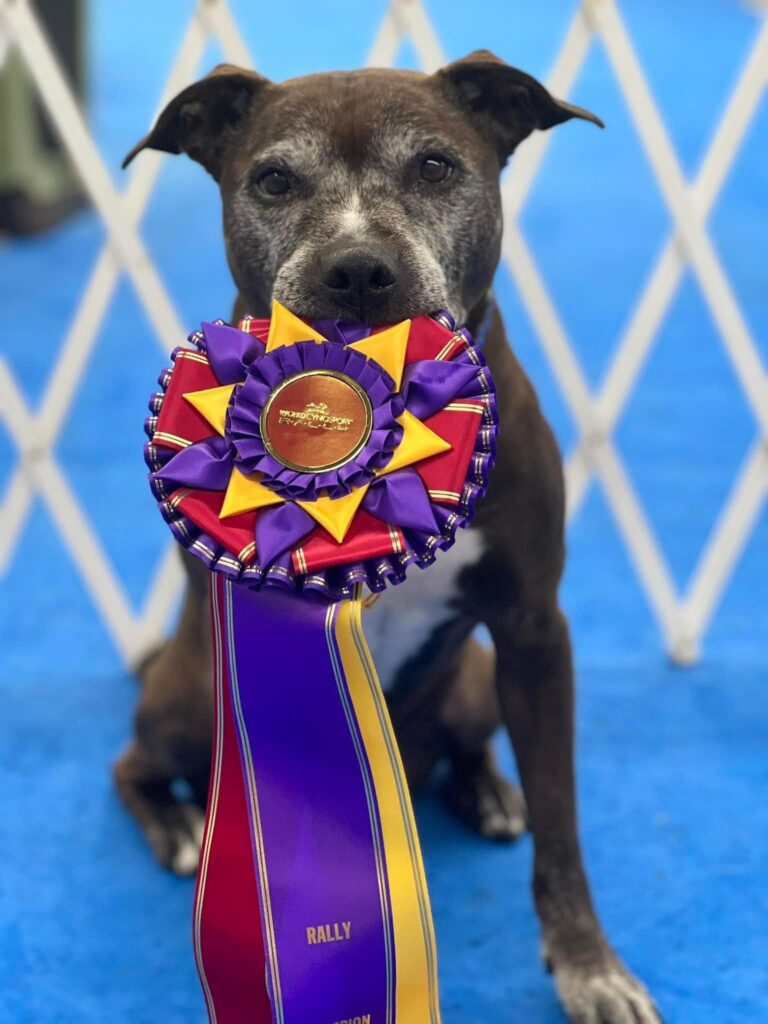 Behavior Consultations